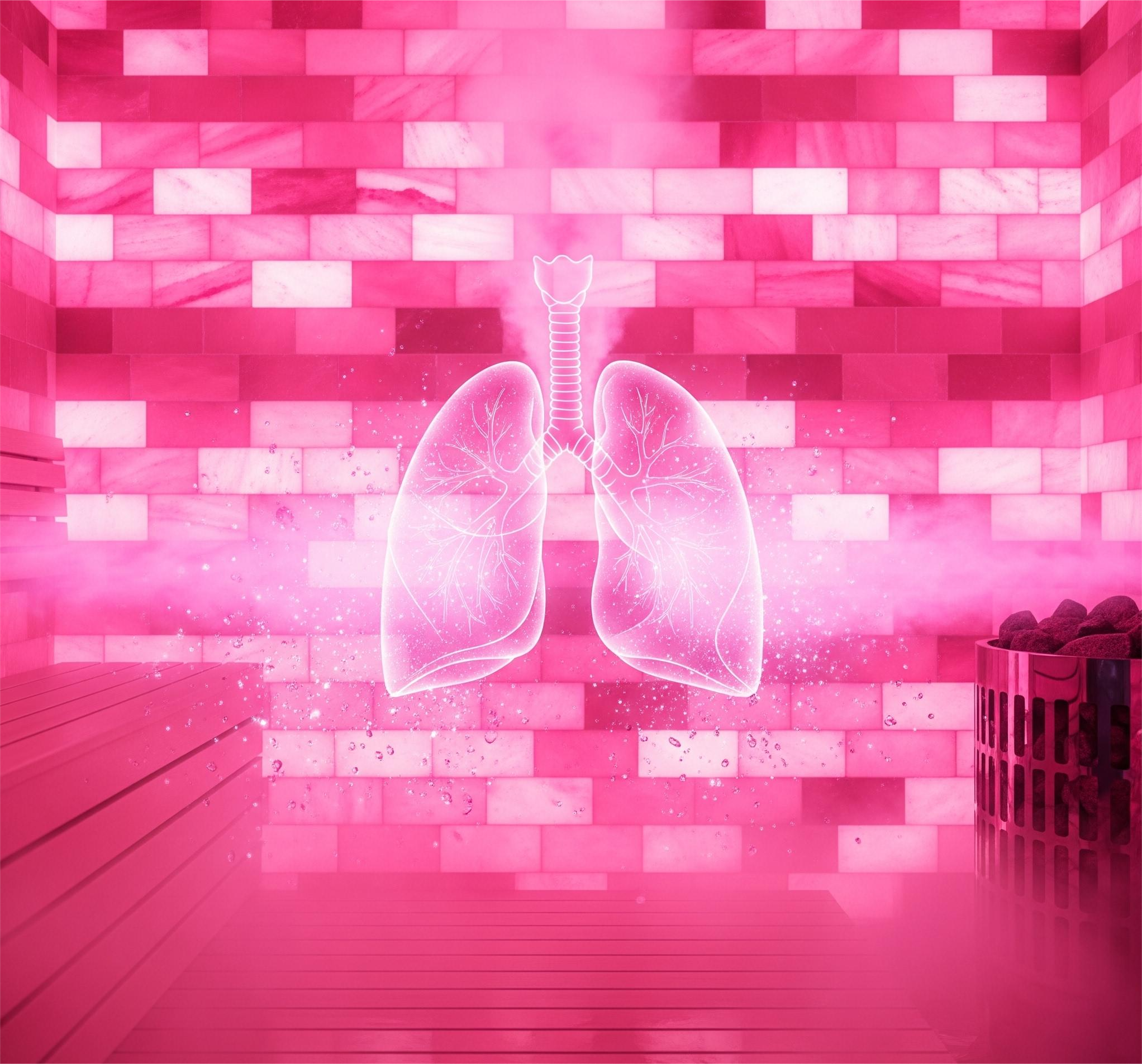 Breathe Easy: Pink Salt Bricks Clean Lungs in Saunas – Build Salt Wall