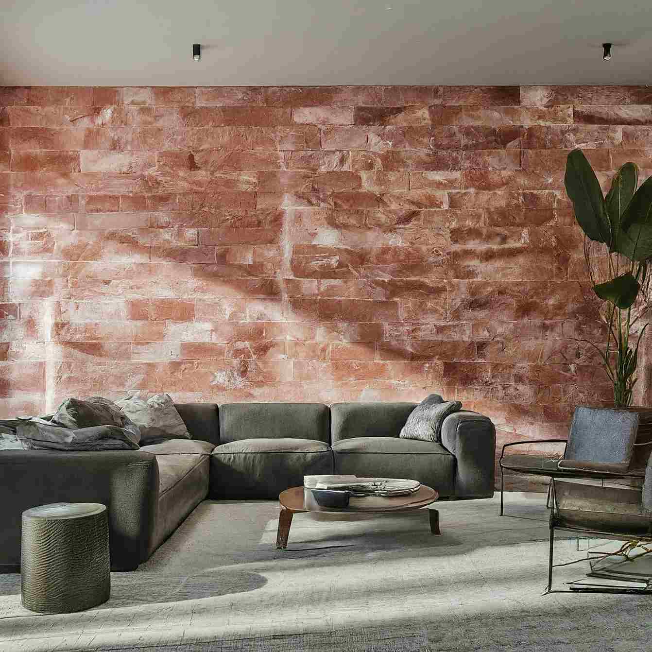 Buy Bulk Himalayan Salt Bricks and Tiles - Build Salt Wall