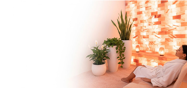 Premium Himalayan Salt Tiles & Salt Bricks – Build Salt Wall