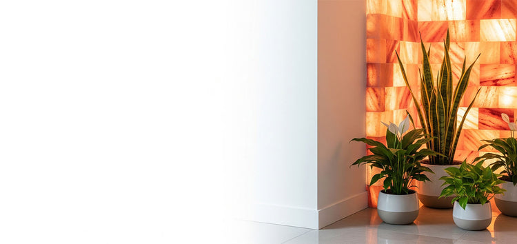 Wholesale Himalayan Salt Tiles, Salt Brick - Build Salt Wall